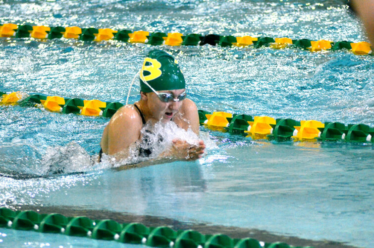Brooke Girls Win OVAC Swimming Crown; Wheeling Park Boys Finish Second ...
